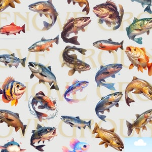Freshwater Fish Clipart Bundle: 720 PNG Images, Commercial Use (digital ...