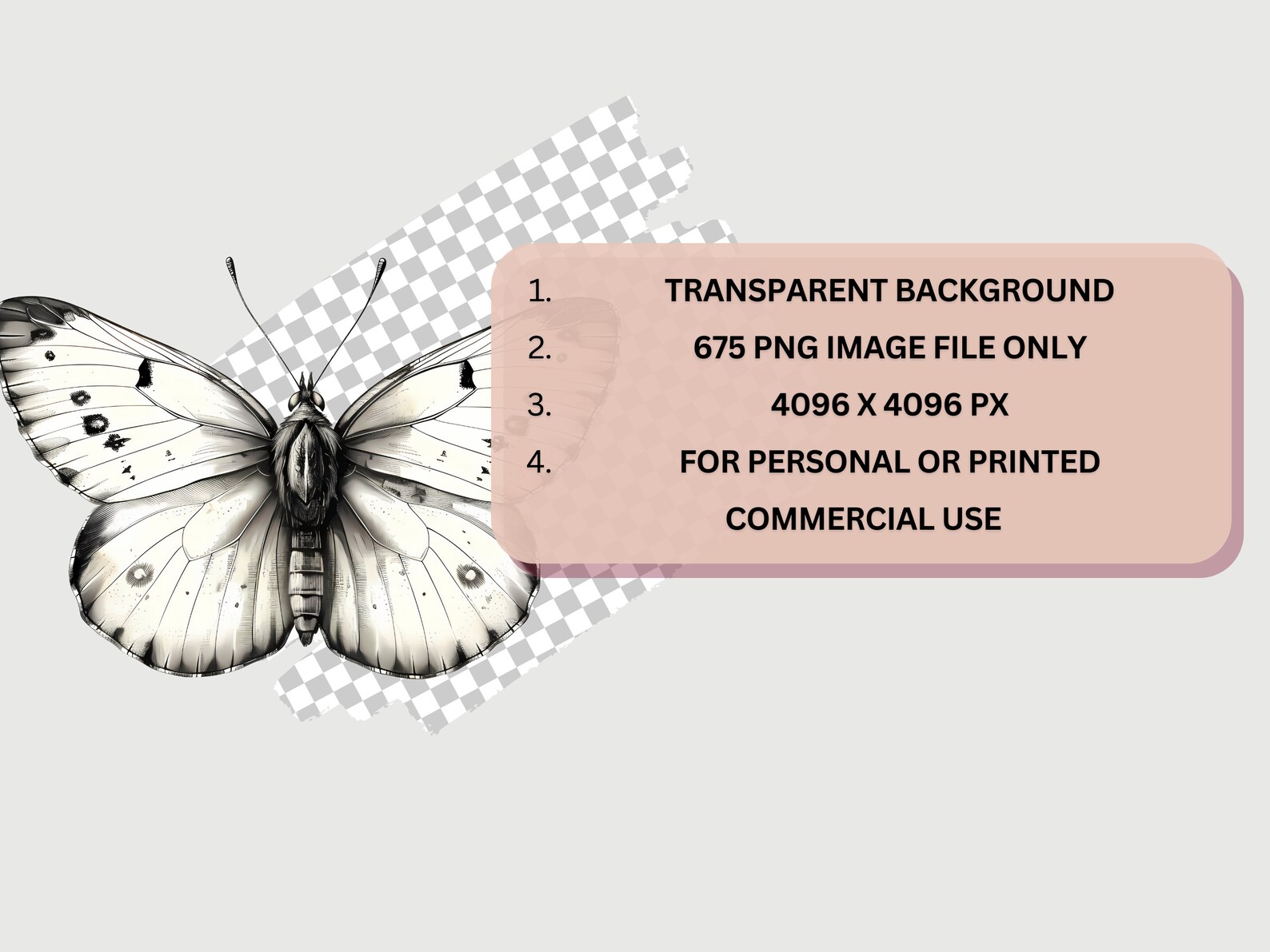 675 Butterfly Bundle Species Clipart PNG Commercial Use | Watercolor ...