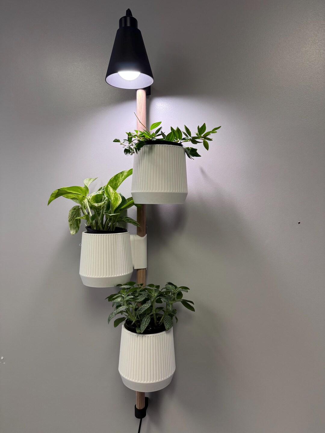 The MCM Vertical Rail Planter Wall Mounted System by Lofted Goods - Etsy