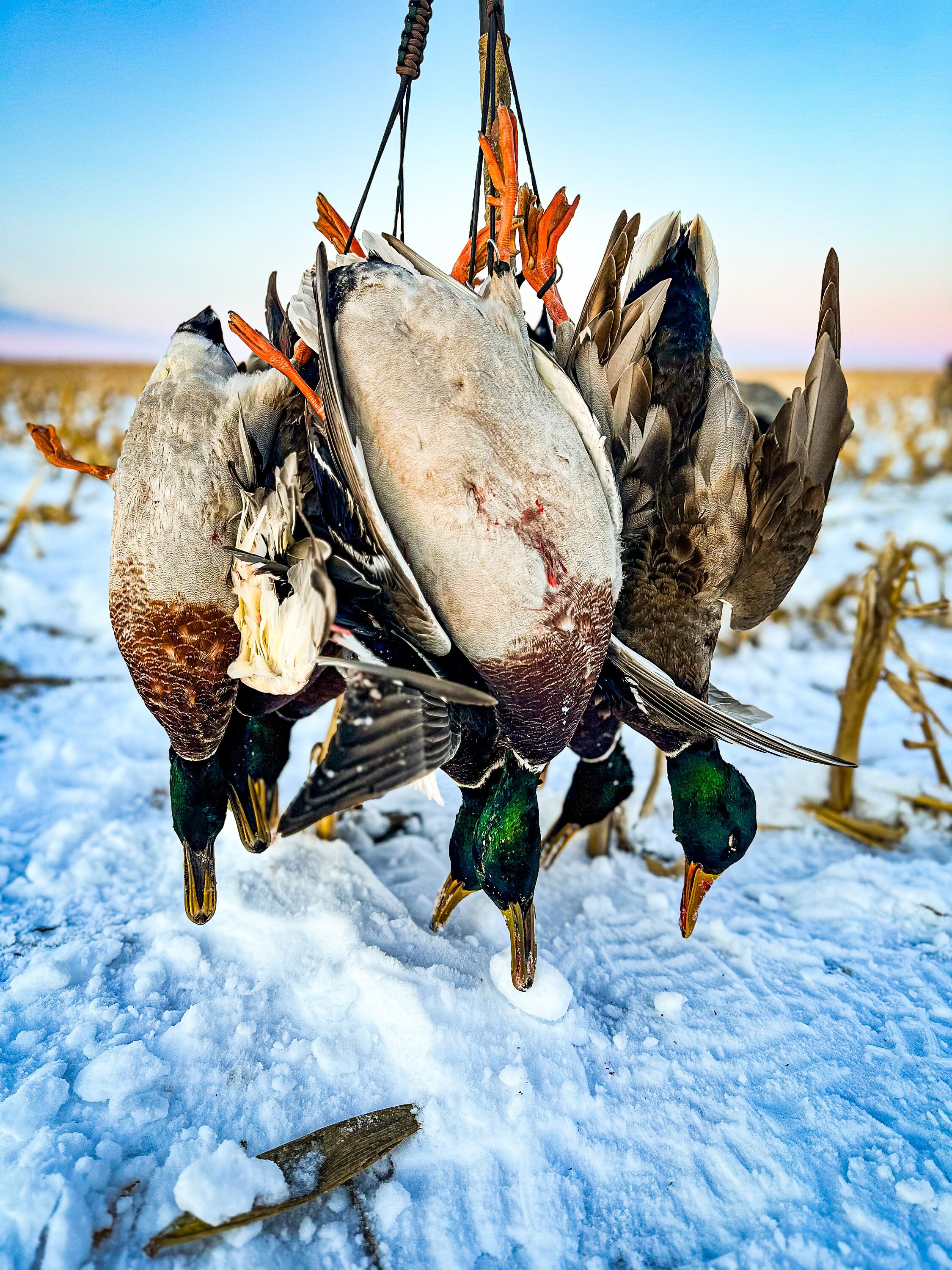 Custom Game Carrying Straps - Etsy