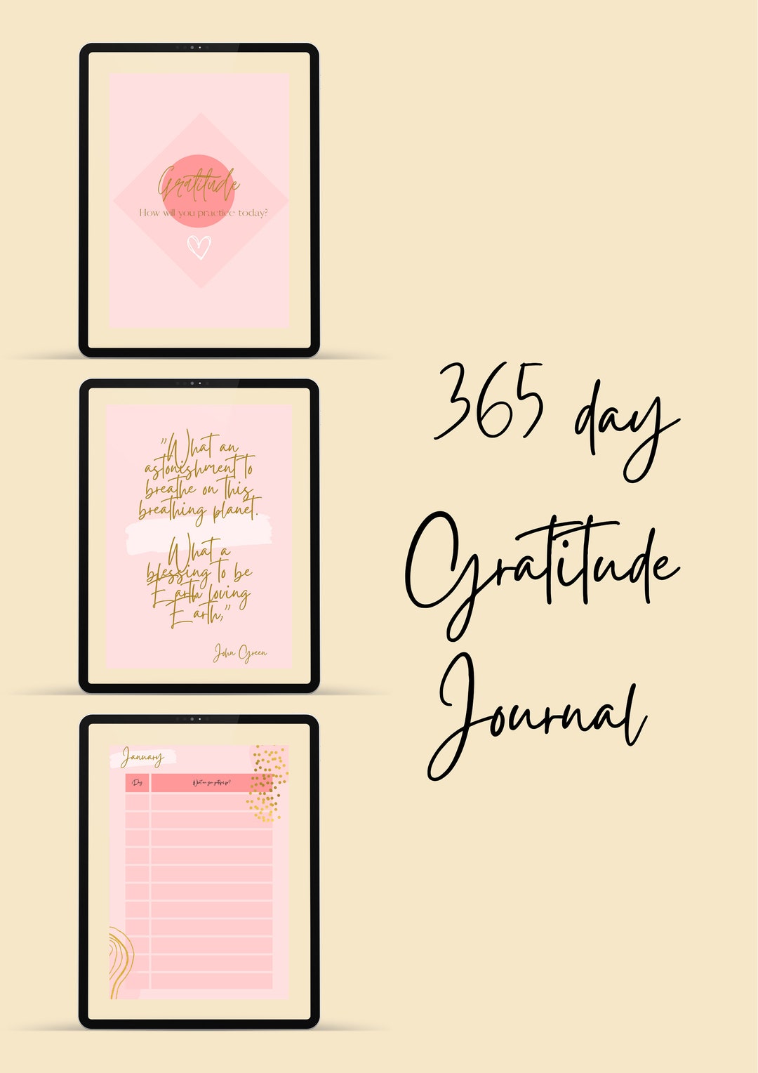 Beginners Digital Gratitude Journal - Etsy