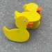 10 Rubber Duck Magnets - Cruise Ducks, Refrigerator Magnets ...