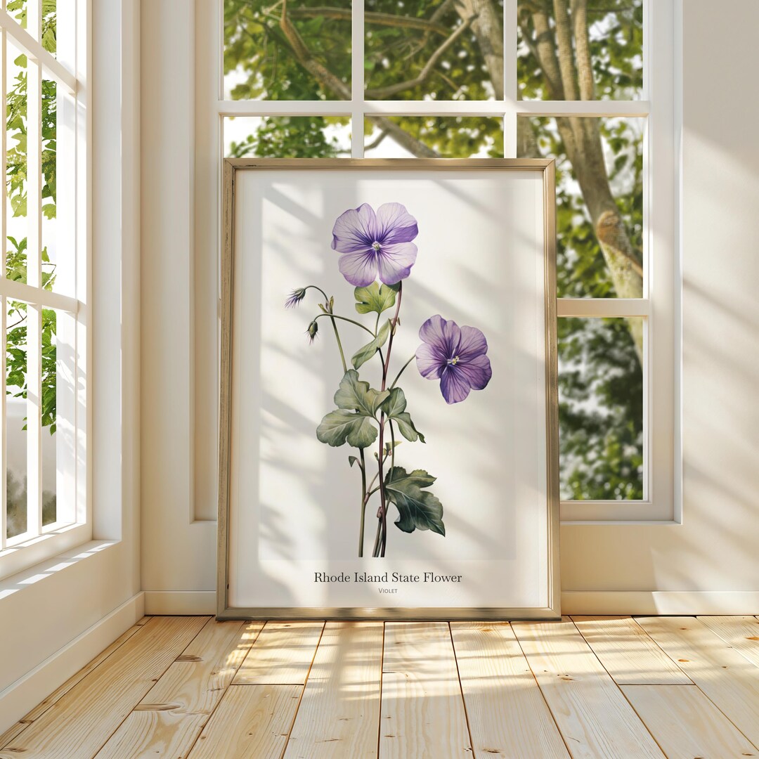 RHODE ISLAND State Flower, Violet Wall Art Poster, Matte Vertical ...