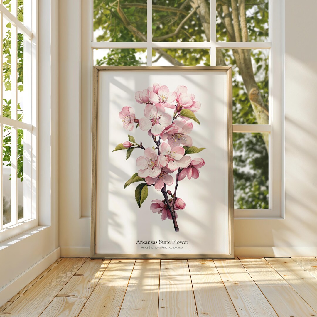 ARKANSAS State Flower, Apple Blossom Wall Art Poster, Matte Vertical ...