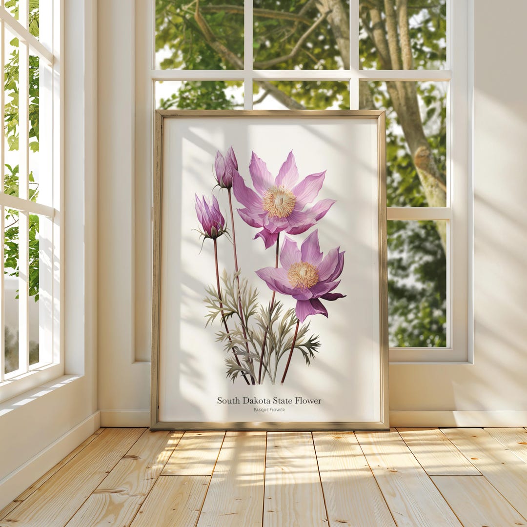 Pasque Flower Art Print: South Dakota State Flower, Museum Grade Paper ...