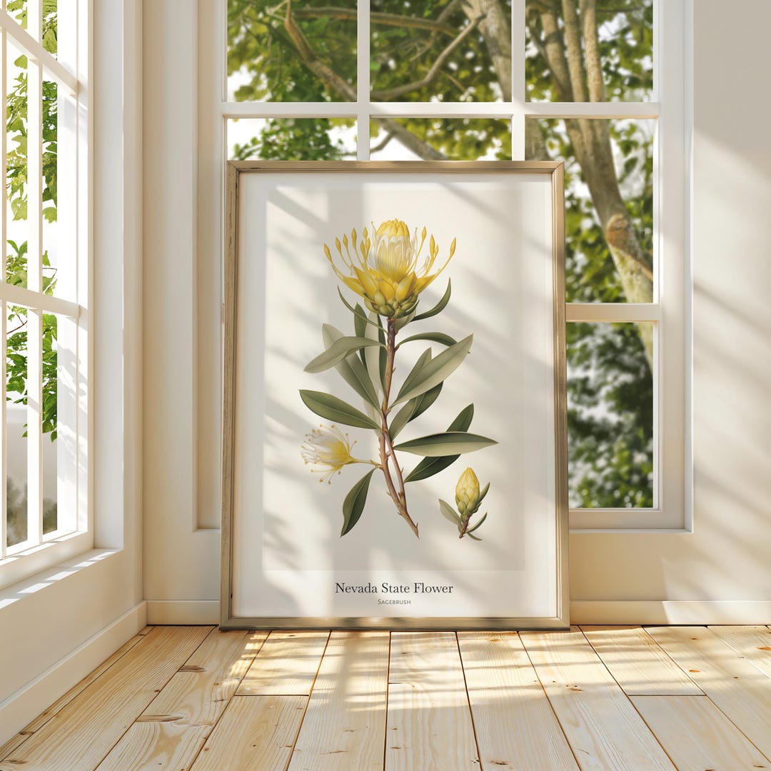 Nevada Sagebrush Flower Art Print: Museum Grade Matte Poster - Etsy