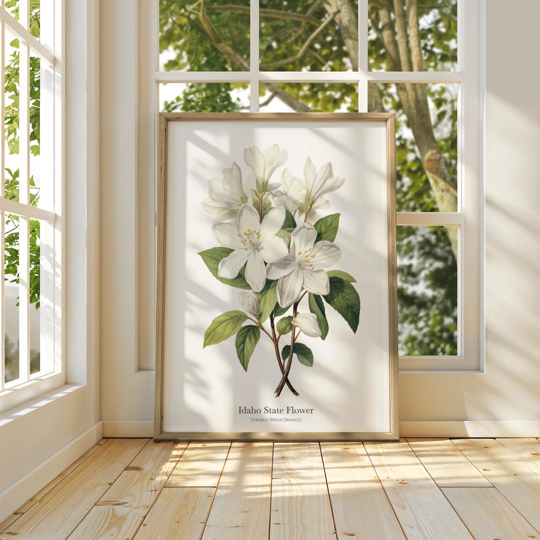Syringa Flower Print: Idaho State Flower, Botanical Wall Art - Etsy
