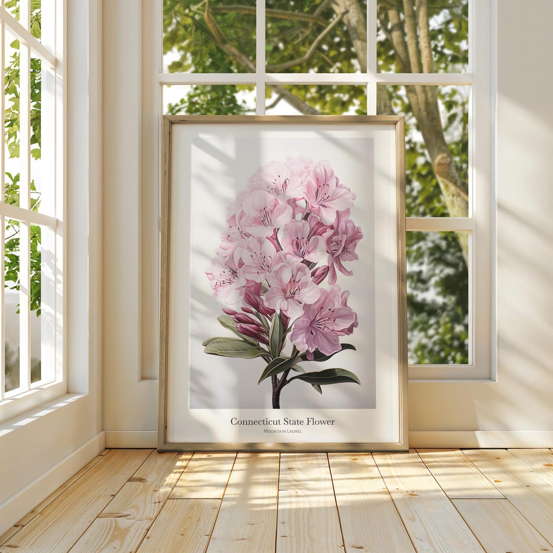 CONNECTICUT State Flower, Mountain Laurel Wall Art Poster, Matte ...