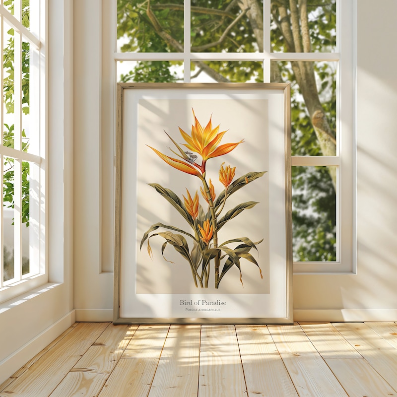Tropical Flower Art - Etsy