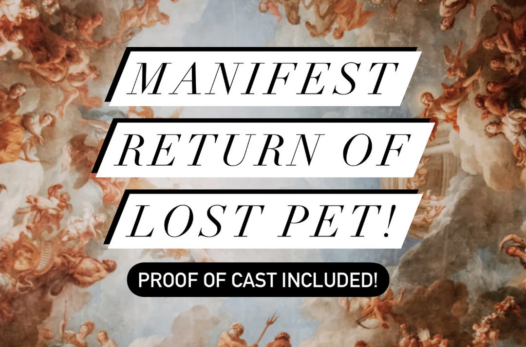 Return of Lost Pet! - Etsy