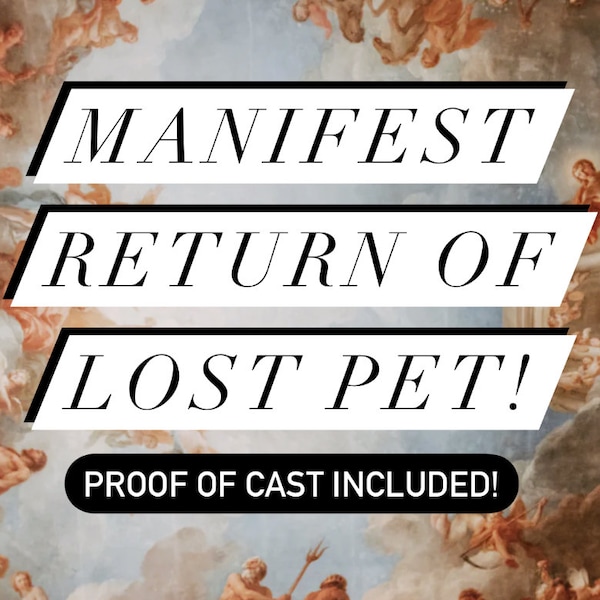 Lost Pet - Etsy