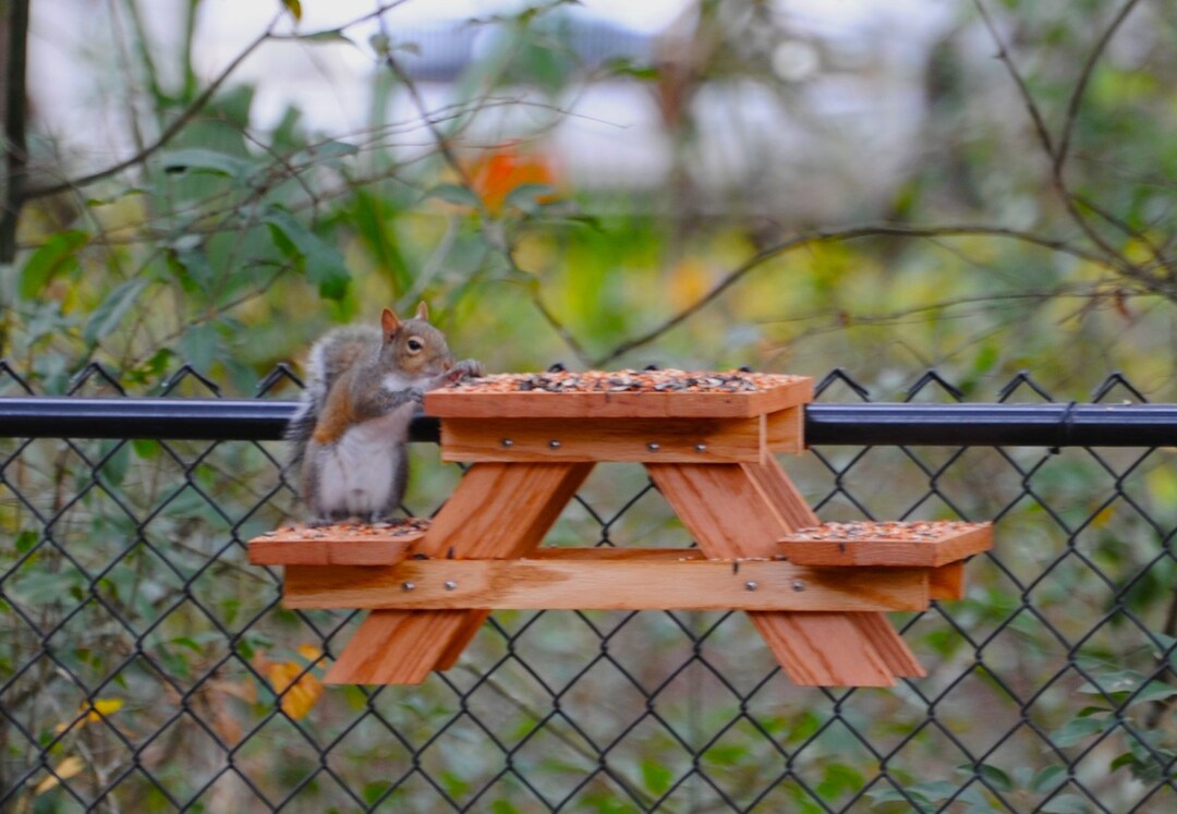 Pine Picnic Table Bird/ Squirrel Feeder - Etsy