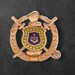 Omega Psi Phi 3D Lapel Pin - Etsy
