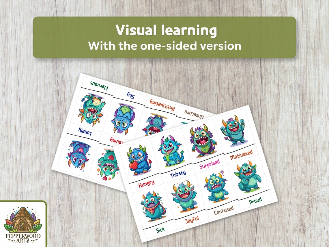 Emotions Flashcards for Kids Montessori Feelings Cards Learning Tools ...