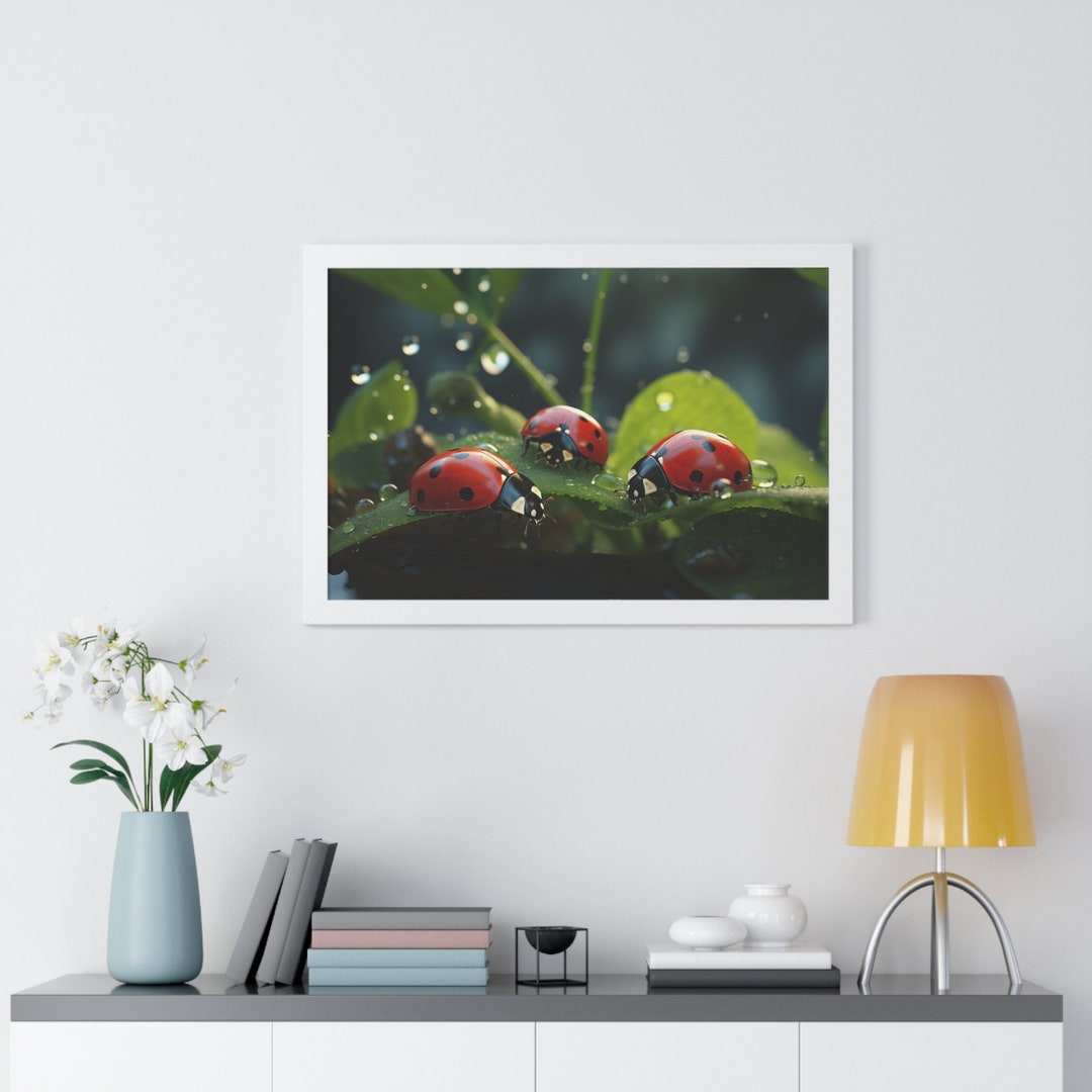 Cute Little Ladybug Insects Rainy Day Leaf Fun Time Elegant Space ...