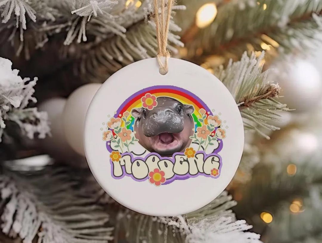 Cute Baby Hippo Moo Deng Bouncy Pig in Thai Hippopotamus Ornament, Moo ...