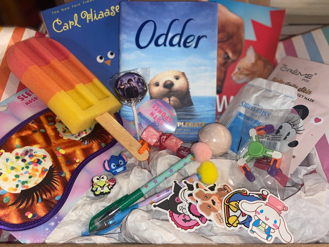 Surprise Book Box Childrens Blind Date With a Book Box - Etsy