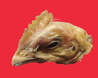 Dehydrated Chicken Heads (pack of 2) - Etsy