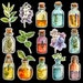 Printable Digital Essential Oil Stickers Pack: PNG Files + Goodnote ...