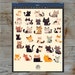 Printable Digital Cute Cats Kittens Decor Stickers Pack: PNG Files ...