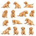 Printable Digital Cute Golden Retriever Puppy Decor Stickers Pack: PNG ...