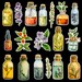Printable Digital Essential Oil Stickers Pack: PNG Files + Goodnote ...