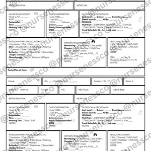 OB NICU NEWBORN Nurse Report Sheet Patient Handoff (digital Download ...