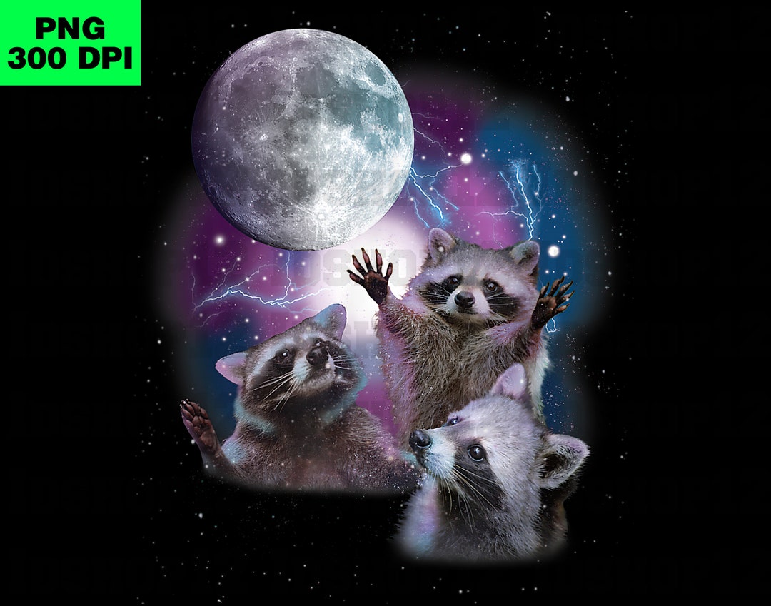 3 Racoons Howling at the Moon PNG, Funny Raccoon Meme PNG, Sublimation ...