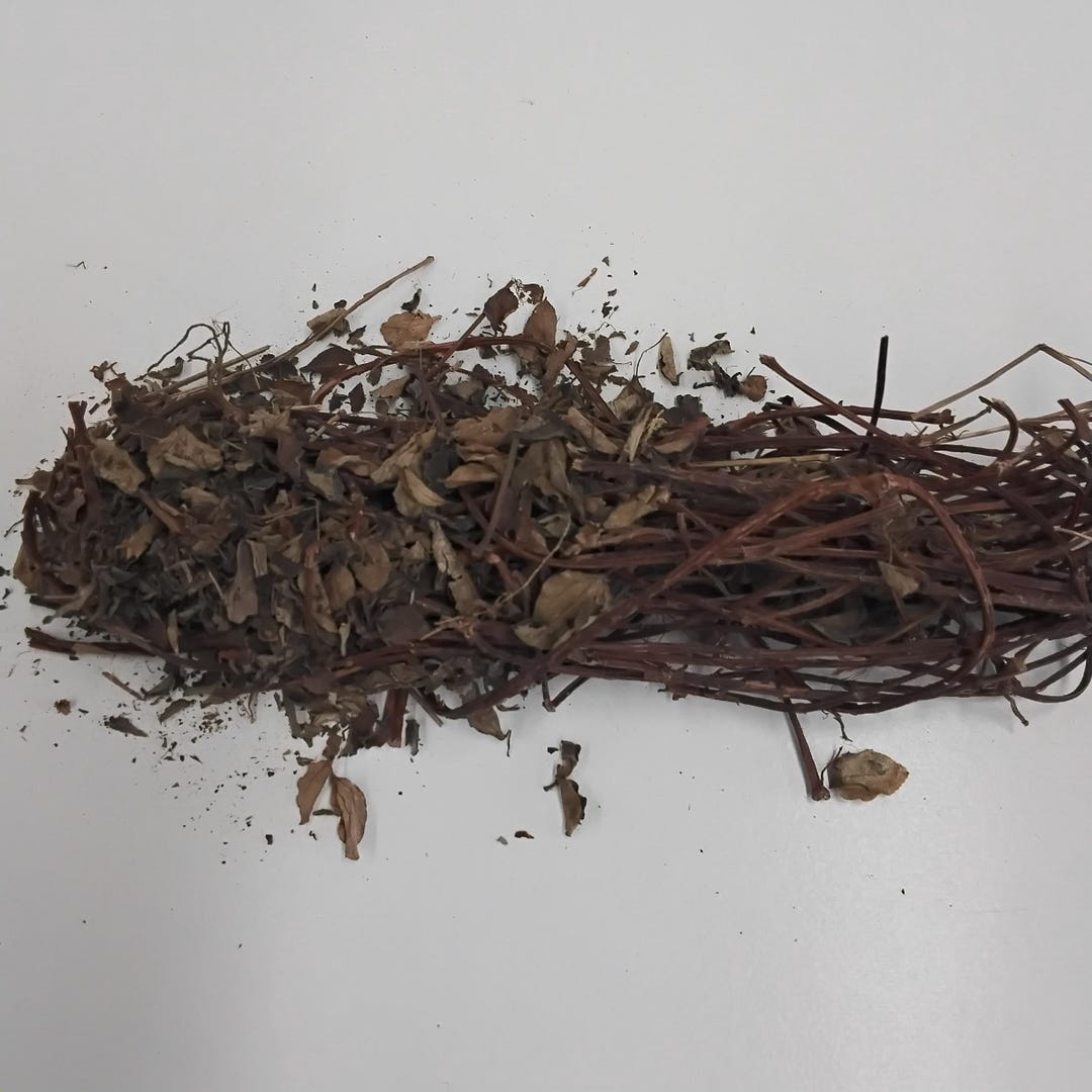 Rotundifolia/chickweed/ewe Awede - Etsy