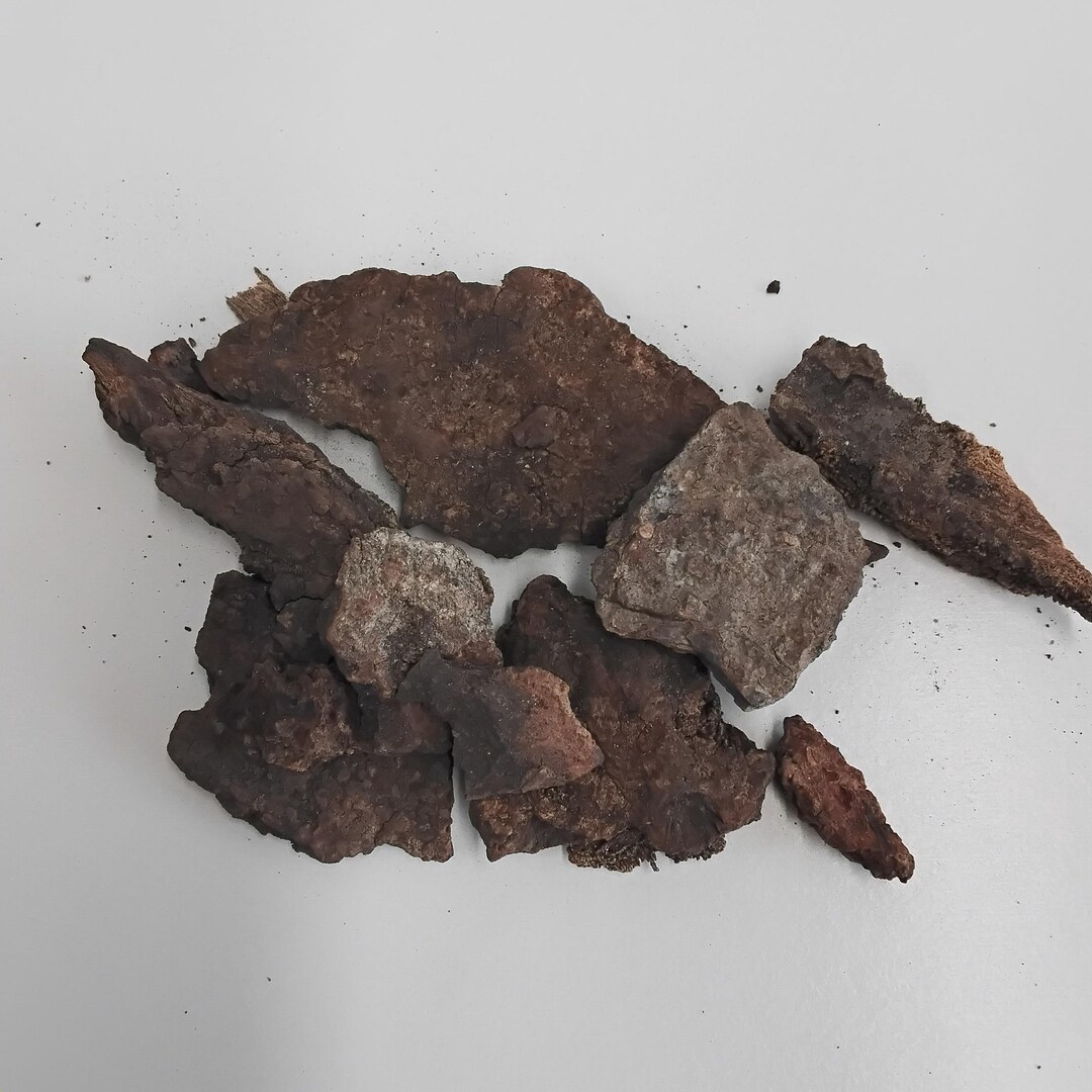 2oz Igi Nla/asorin/the Mysterious Tree of Life Bark - Etsy