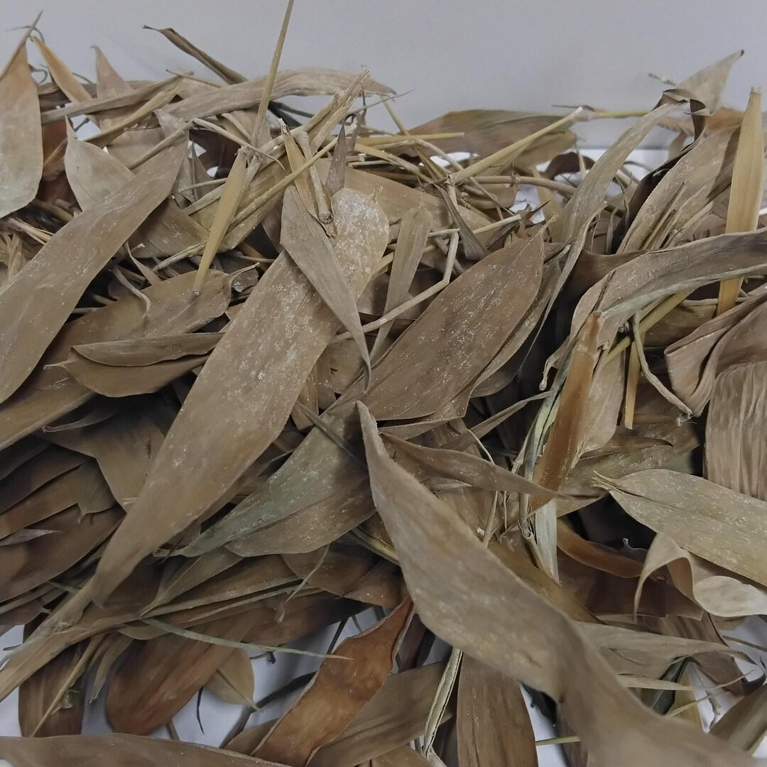 Ewe Oparun/bamboo Dried Leaves - Etsy