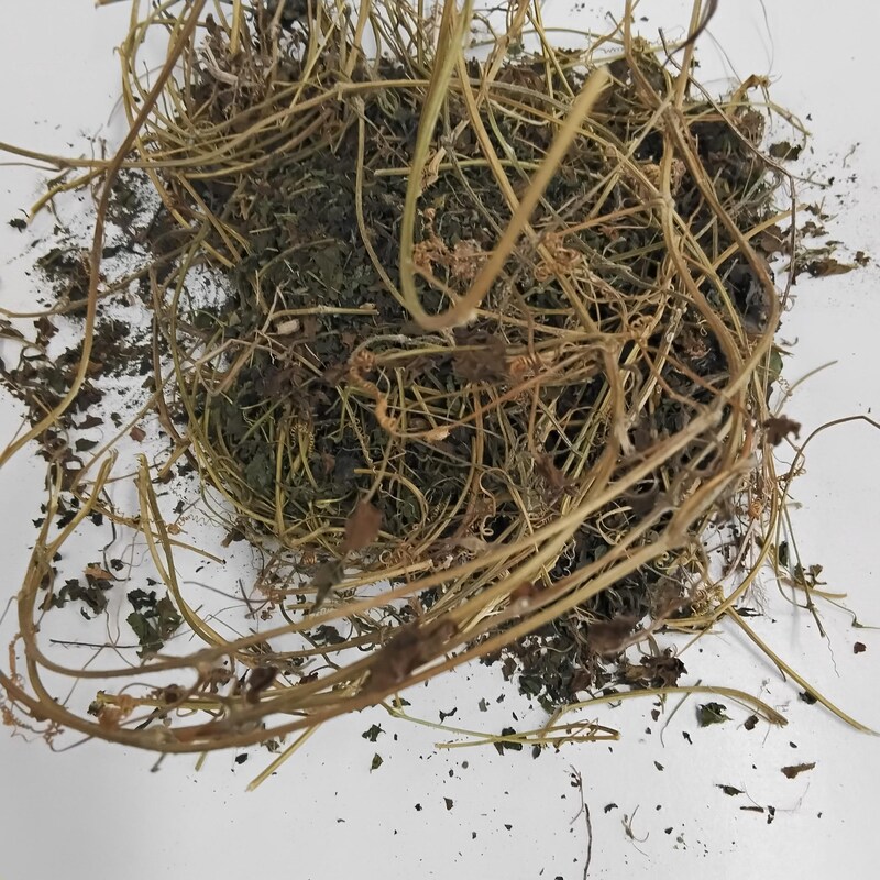 Dried Balsam - Etsy