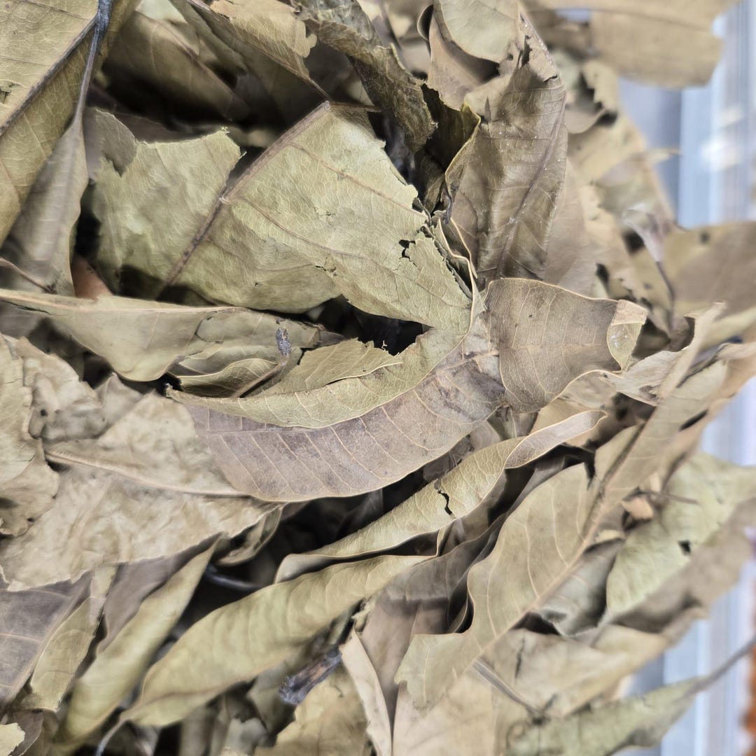 Ewe Magoro/mango Dried Leaves - Etsy