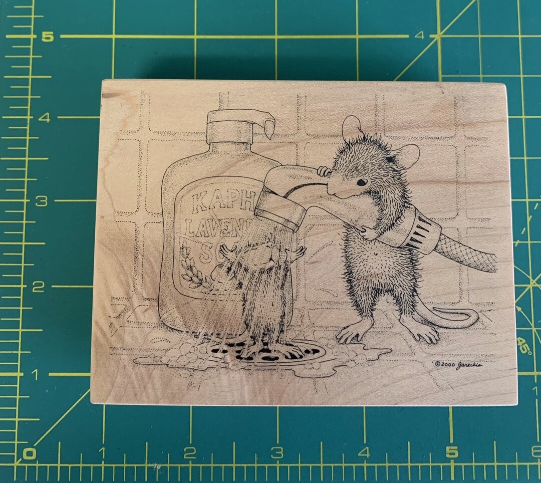 House Mouse 'singin in the Drain' 2001 Vintage Gently Used Condition - Etsy