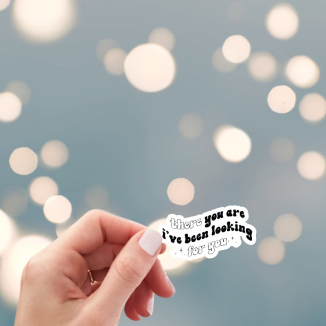 There You Are I've Been Looking for You Sticker, 3 Sizes to Choose From ...