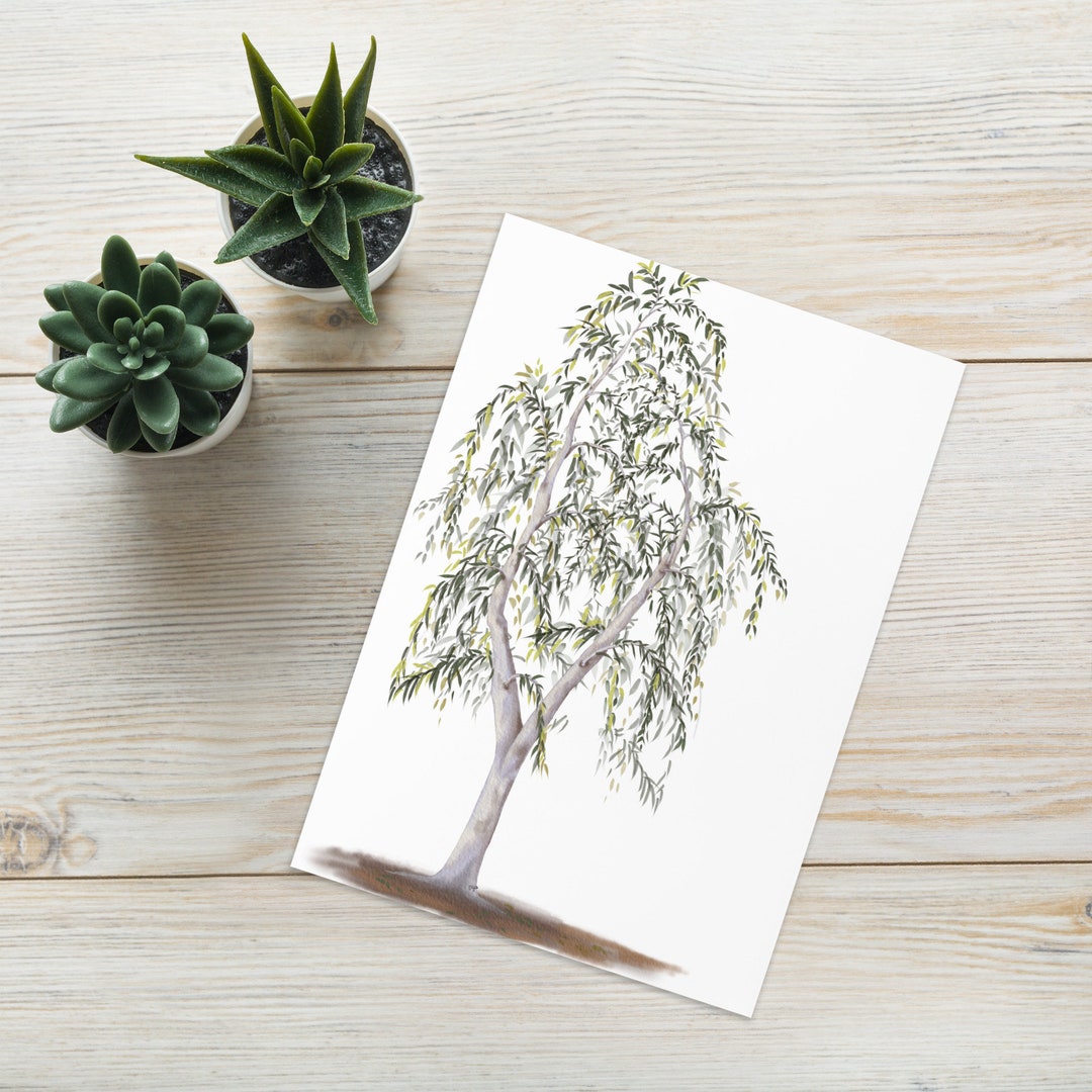Australian Weeping Gum Tree, Australian Greetings Card, Eucalyptus Tree ...