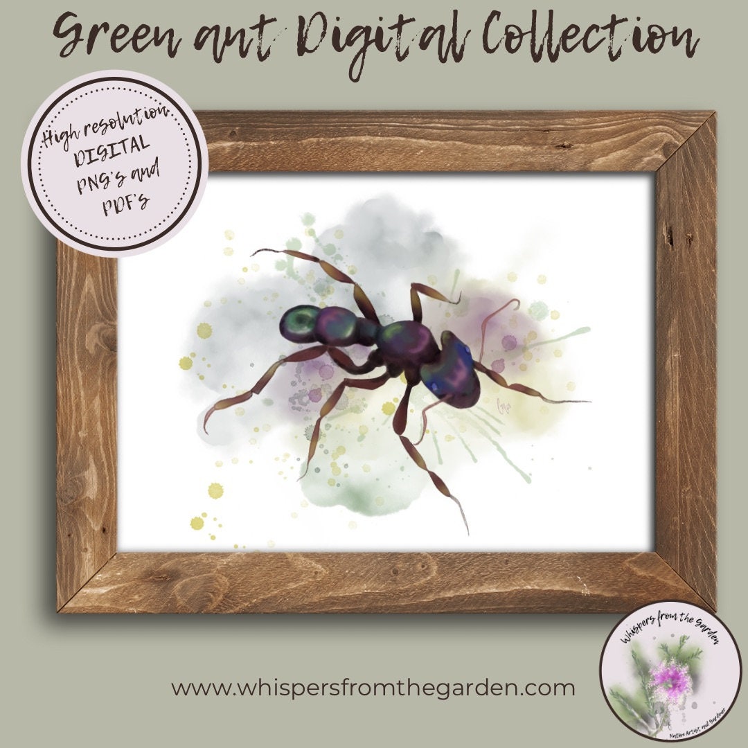 Watercolor Ant Art Printable Clip Art Files, Digital Planner, Pdf ...