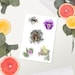 Vegetation Vixen Stickers, Bubble Free Stickers, Wattle Flowers ...