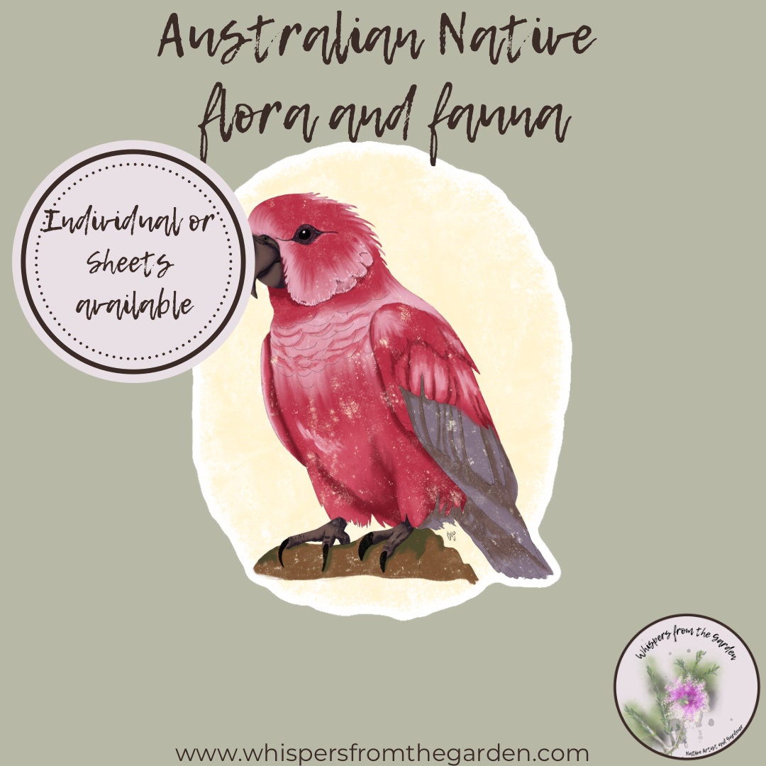 Vegetation Vixen Stickers, Bubble Free Stickers, Wattle Flowers ...