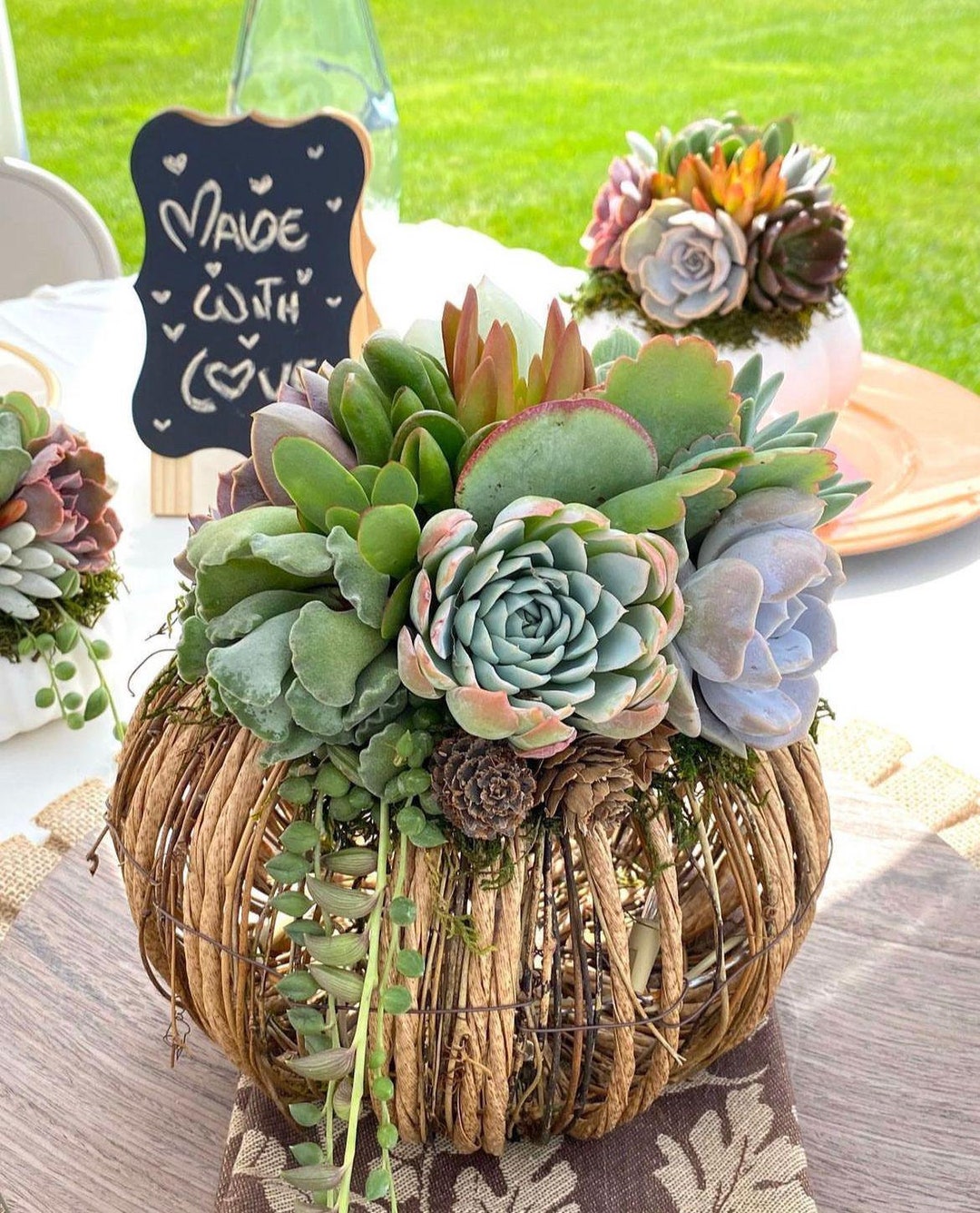 Pumpkin Succulent Arrangements•handmade Pumpkin Succulent Decor•perfect ...