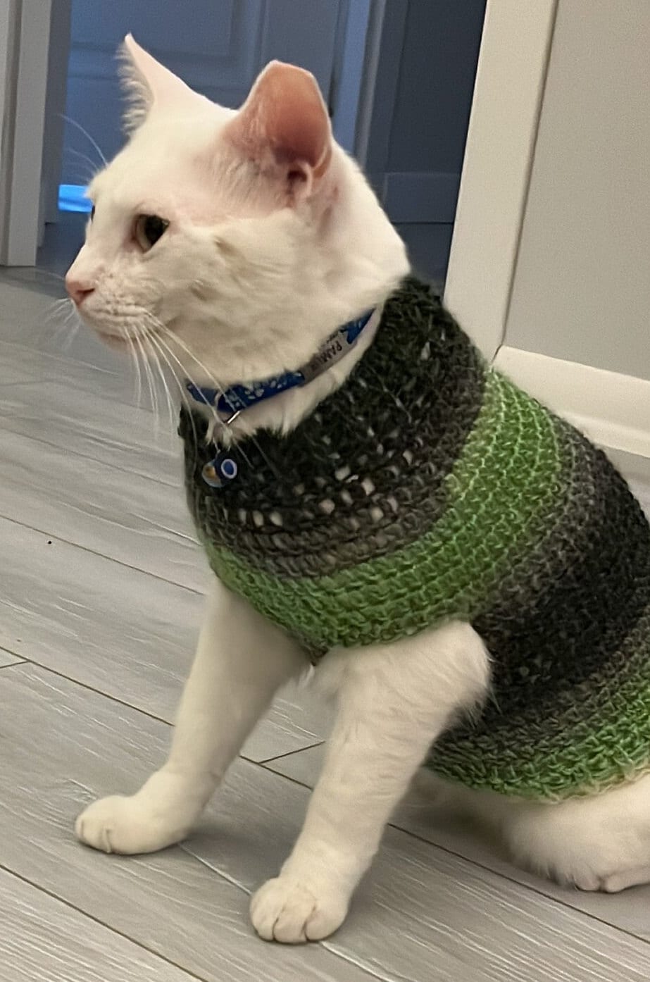 Crochet Pattern Crochet Cat Dress, Crochet Sweater Pattern, Pet Jumper ...