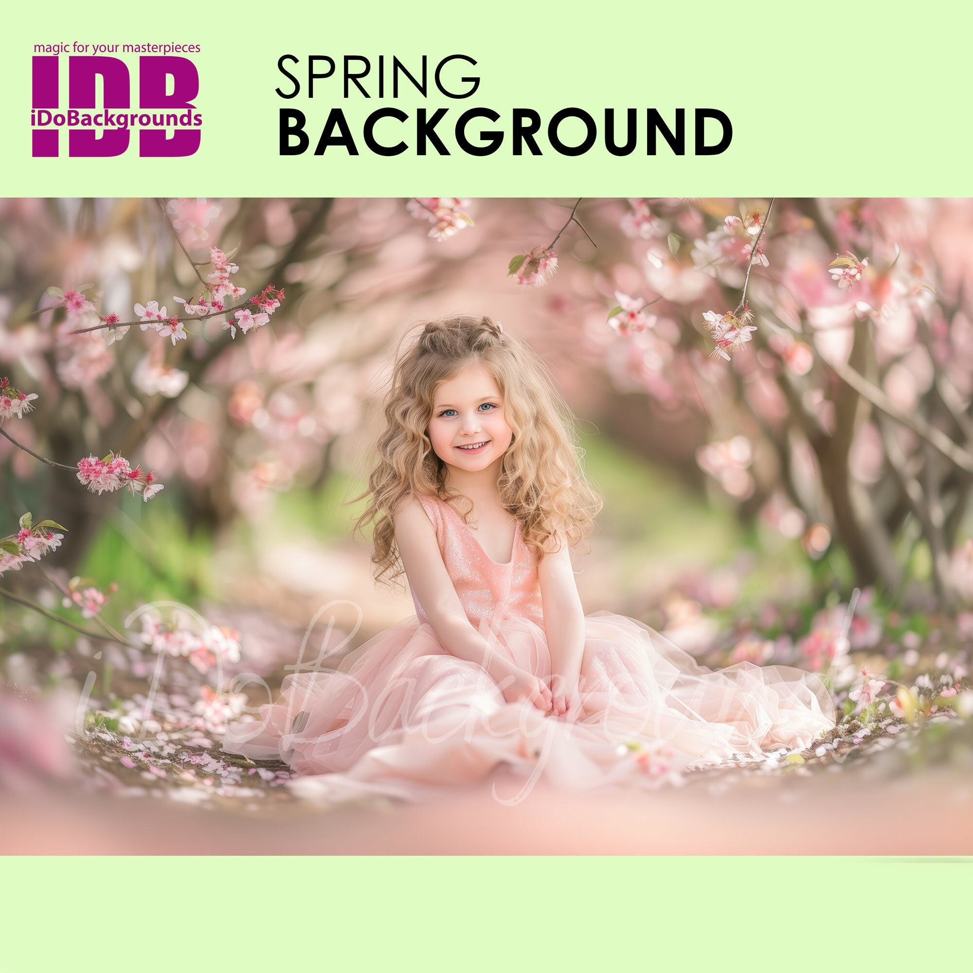 Pink Pathway Spring Flowers Digital Background, Spring Composite ...