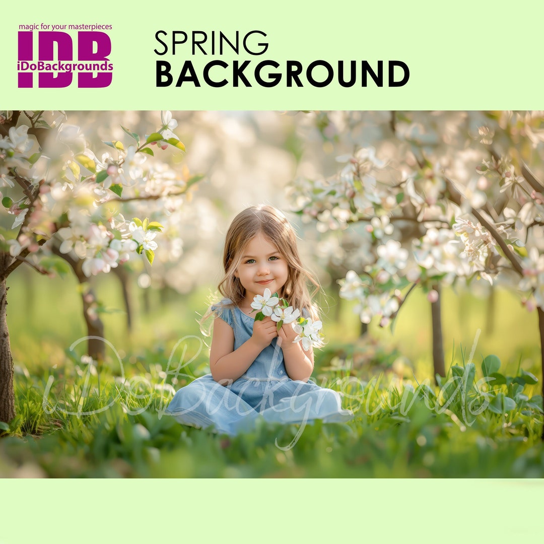 White Spring Flowers Digital Background, Spring Composite Digital Photo ...