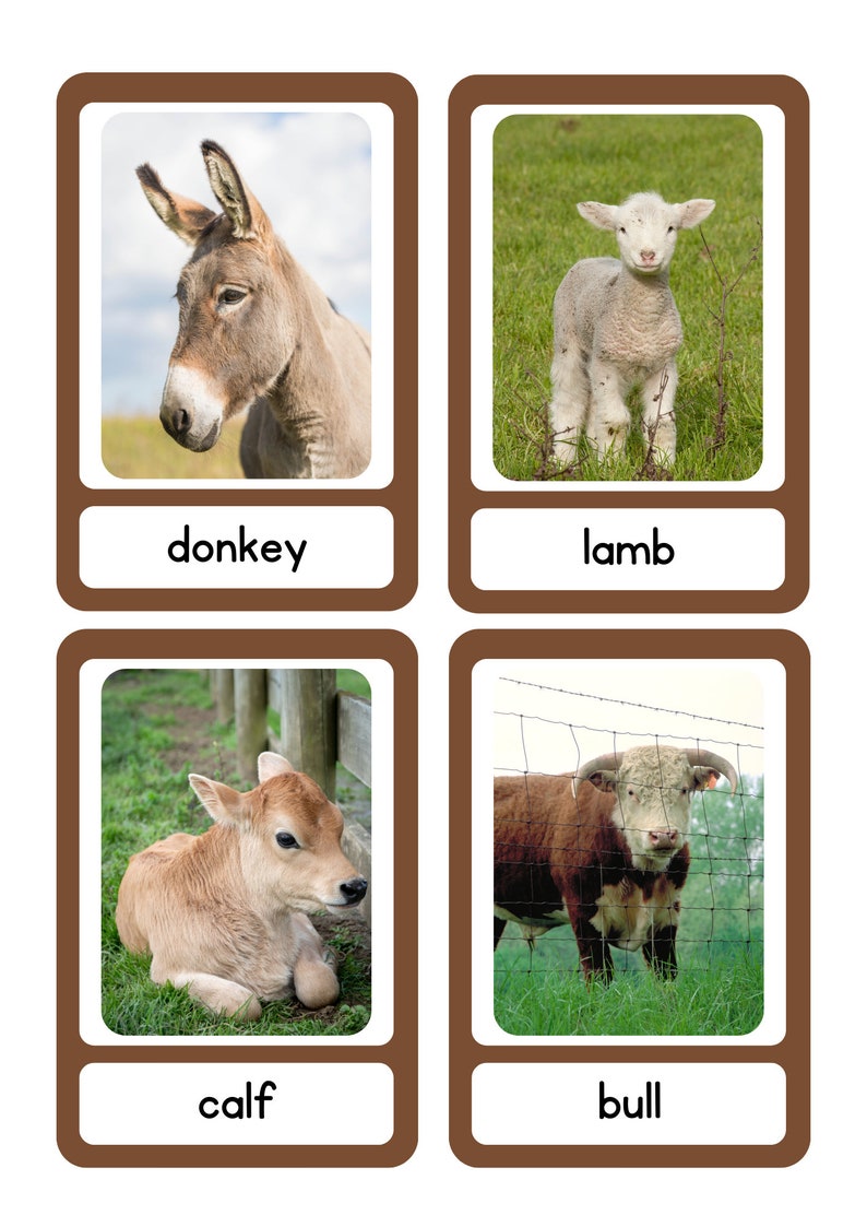 Farm Animal Vocabulary Photo Flashcards,fun Farm Animal Learning ...