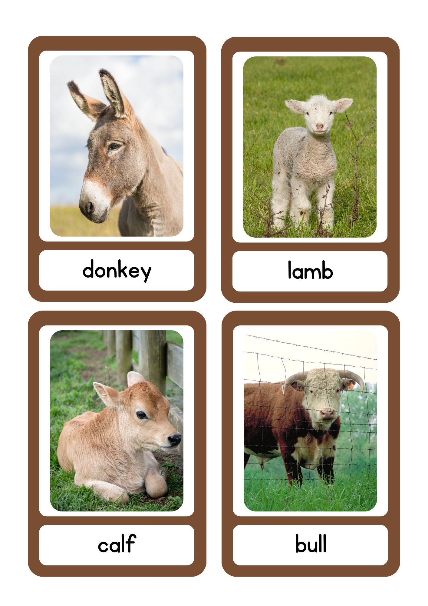 Farm Animal Vocabulary Photo Flashcards,fun Farm Animal Learning ...