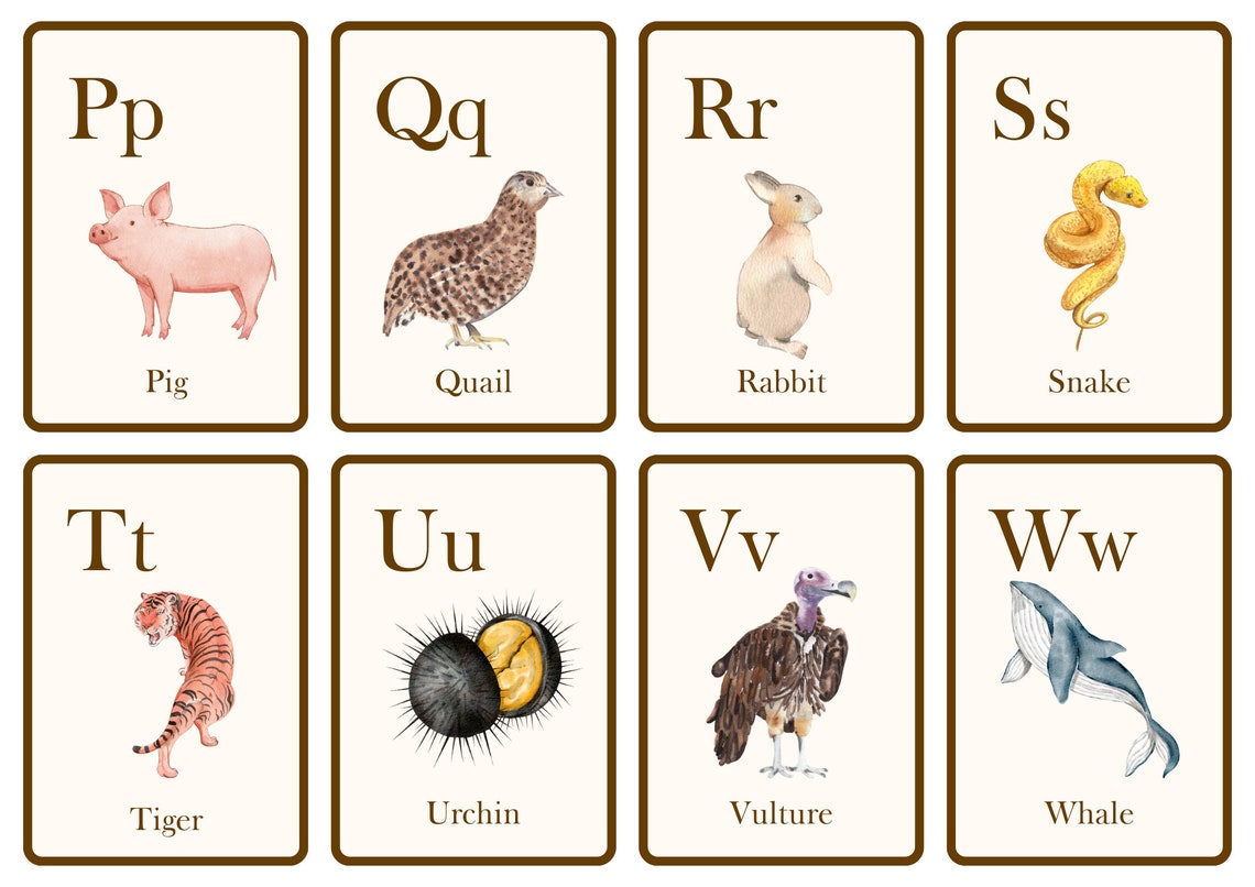 Animal Alphabet Flashcards,cute Animal Alphabet Educational Learning ...