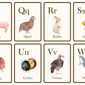 Animal Alphabet Flashcards,cute Animal Alphabet Educational Learning ...
