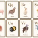 Animal Alphabet Flashcards,cute Animal Alphabet Educational Learning ...