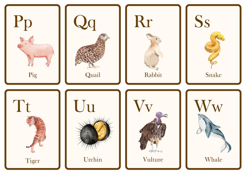 Animal Alphabet Flashcards,cute Animal Alphabet Educational Learning ...