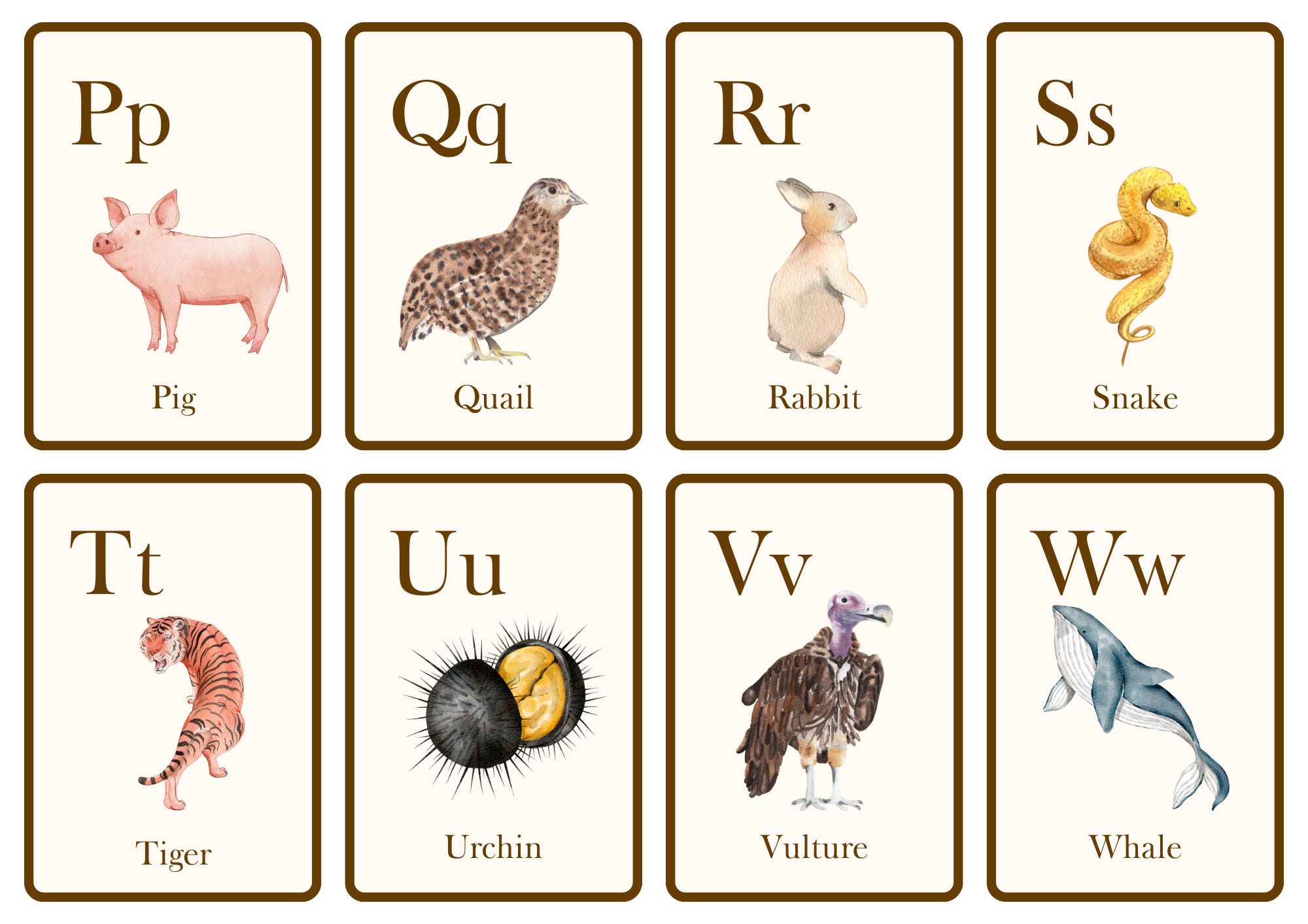 Animal Alphabet Flashcards,cute Animal Alphabet Educational Learning ...